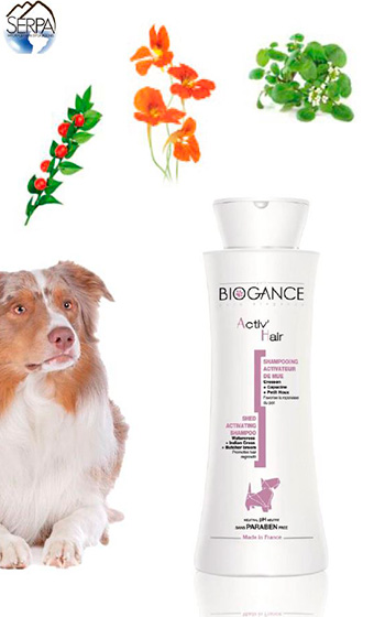 Activ’ hair shampoo | Biogance Chile